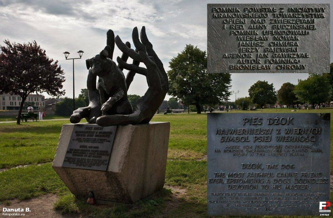 Pies Dżok: The Faithful Dog Who Became a Legend in Krakow